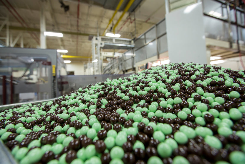 Careers | Sconza Chocolate